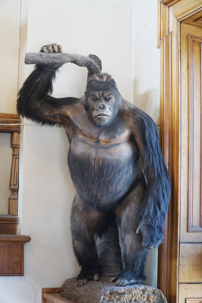 Redpath Museum - Haunted Montreal Blog